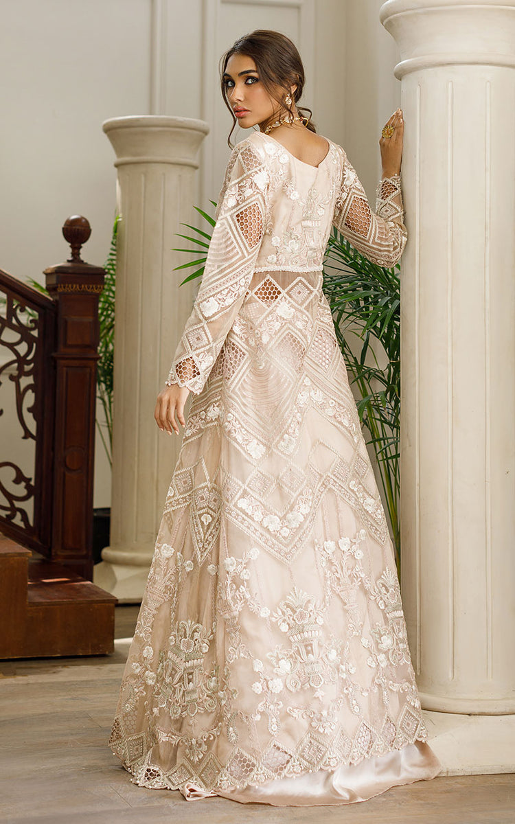Organza Embroidered Dress With Skirt – Threads & Motifs
